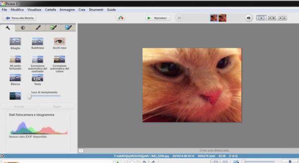 Picasa (Windows/Mac/Linux)