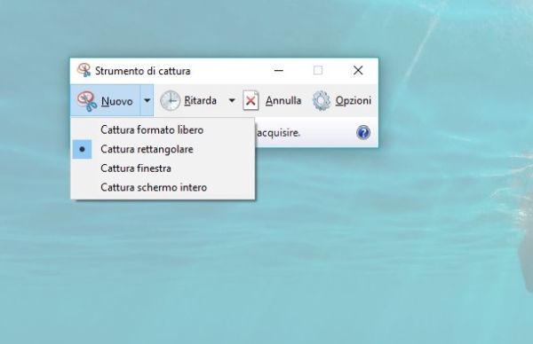 Applicazioni per fare screenshot Windows